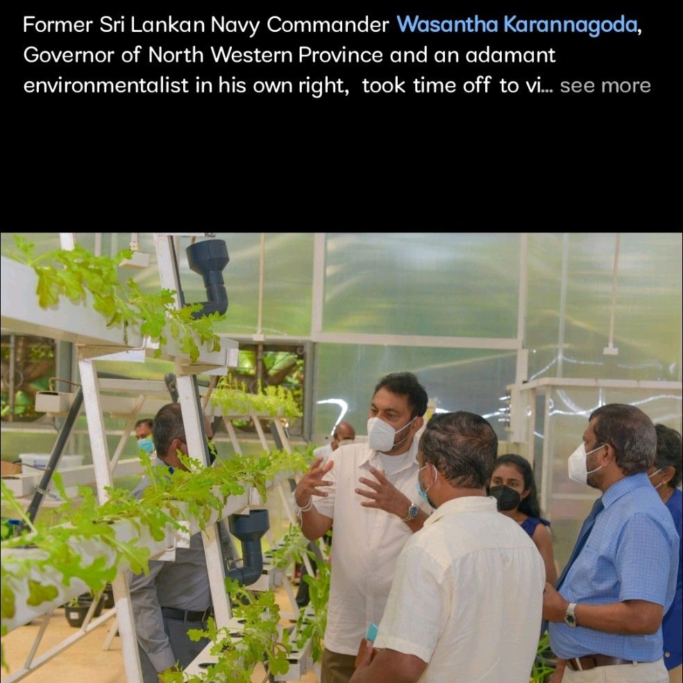 Dewmi Meegalla on LinkedIn: #sliit #greenhouse Dewmi Meegalla on LinkedIn: #sliit #greenhouse