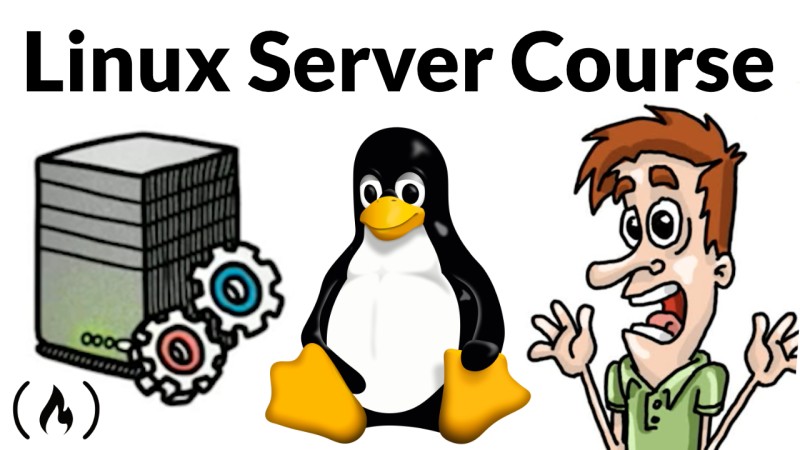 freeCodeCamp LinkedIn: How to Configure and Operate Linux Servers ... freeCodeCamp LinkedIn: How to Configure and Operate Linux Servers ...