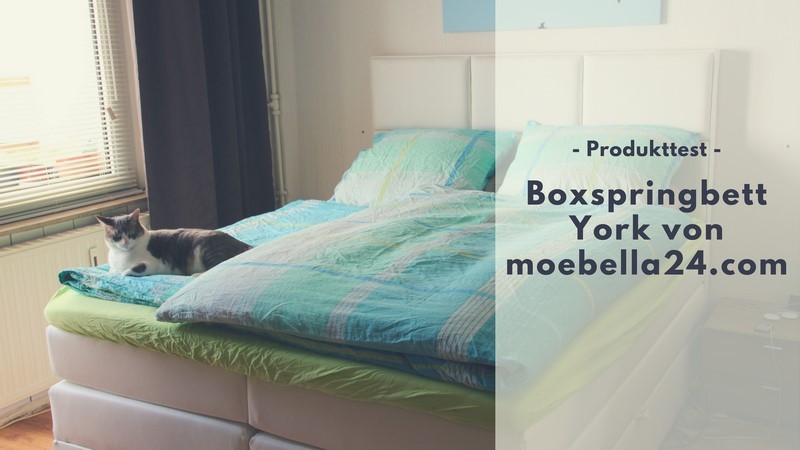 Jennifer Tiefenhoff on LinkedIn: Boxspringbett York von moebella24.com ... Jennifer Tiefenhoff on LinkedIn: Boxspringbett York von moebella24.com ...