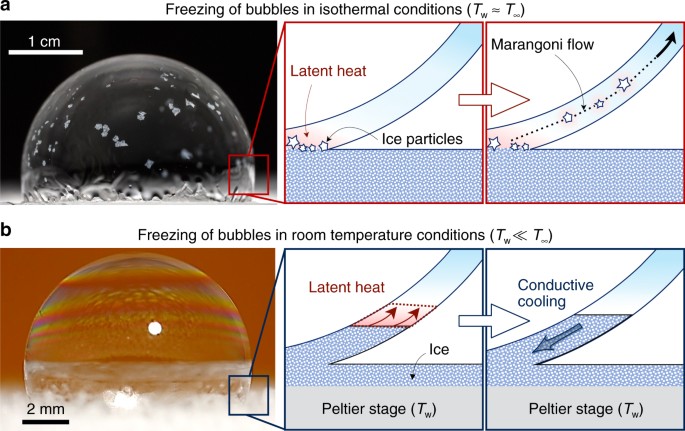 Saurabh Nath on LinkedIn: How soap bubbles freeze Saurabh Nath on LinkedIn: How soap bubbles freeze