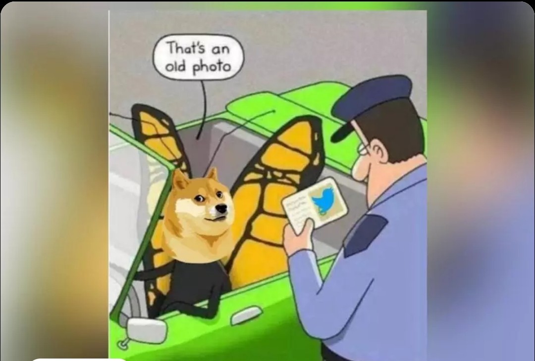 Exposing Now on LinkedIn: Elon Musk shares a hilarious meme : - Twitter ... Exposing Now on LinkedIn: Elon Musk shares a hilarious meme : - Twitter ...