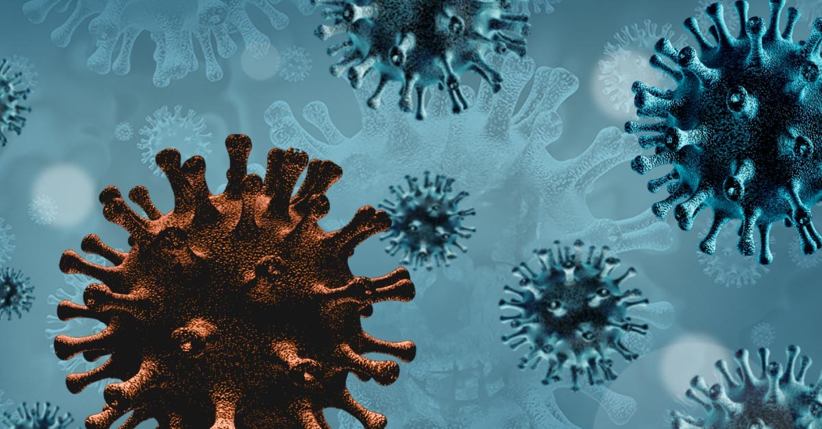 Dr. Katja Schreiter on LinkedIn: Mutation Detection primer/probe sets ... Dr. Katja Schreiter on LinkedIn: Mutation Detection primer/probe sets ...