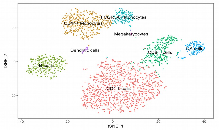 Nikolay Oskolkov on LinkedIn: How to tune hyperparameters of tSNE ... Nikolay Oskolkov on LinkedIn: How to tune hyperparameters of tSNE ...