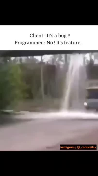Zuhaib Asif on LinkedIn: #programmer #bugs #coding #programmingmemes Zuhaib Asif on LinkedIn: #programmer #bugs #coding #programmingmemes