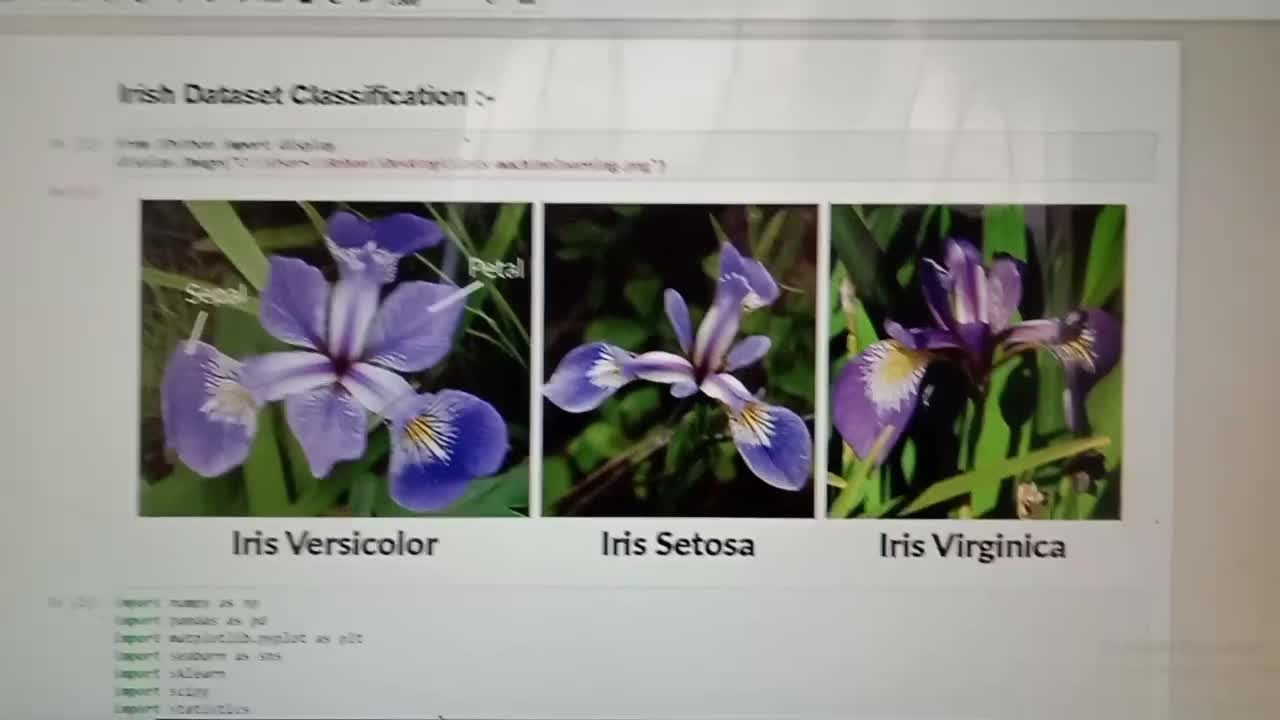 Rohan Majumder on LinkedIn: CodSoft Project : 2 Irish dataset ... Rohan Majumder on LinkedIn: CodSoft Project : 2 Irish dataset ...