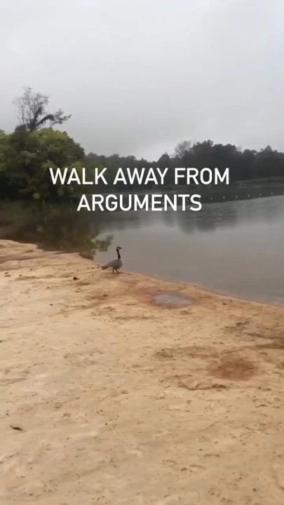 Prachi Hole on LinkedIn: walk away Prachi Hole on LinkedIn: walk away