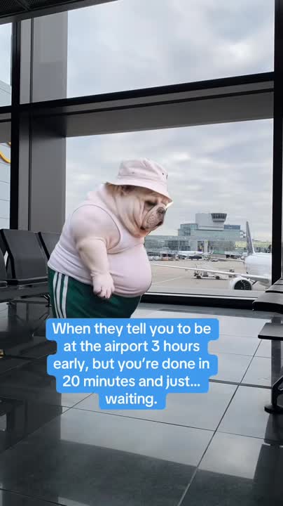 Can someone tell us why airlines need us to arrive so many hours prior ... Can someone tell us why airlines need us to arrive so many hours prior ...