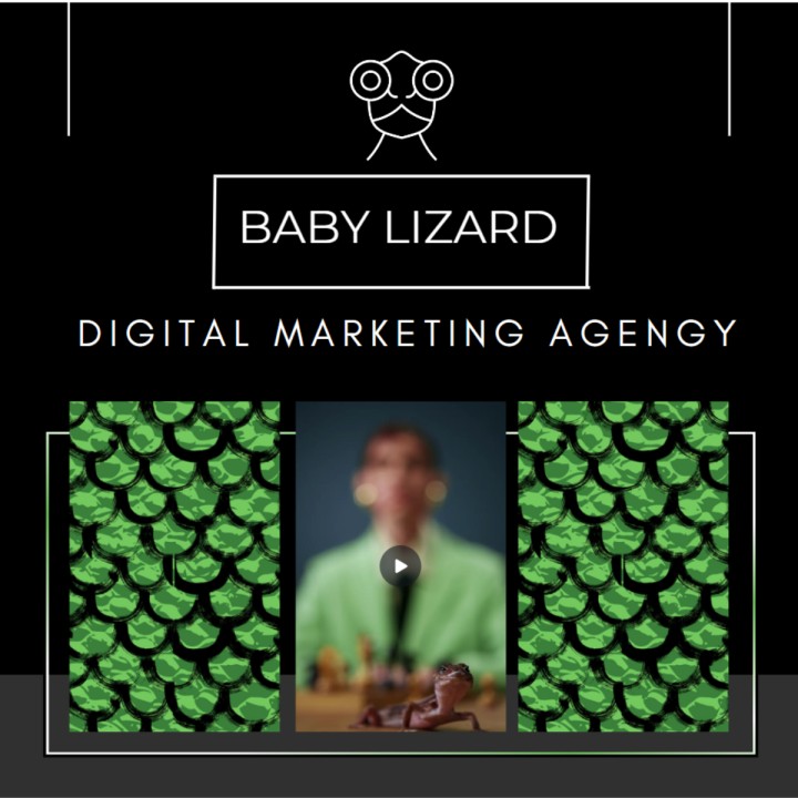 Baby Lizard on LinkedIn: BABY LIZARD | DIGITAL MARKETING AGENCY Baby Lizard on LinkedIn: BABY LIZARD | DIGITAL MARKETING AGENCY