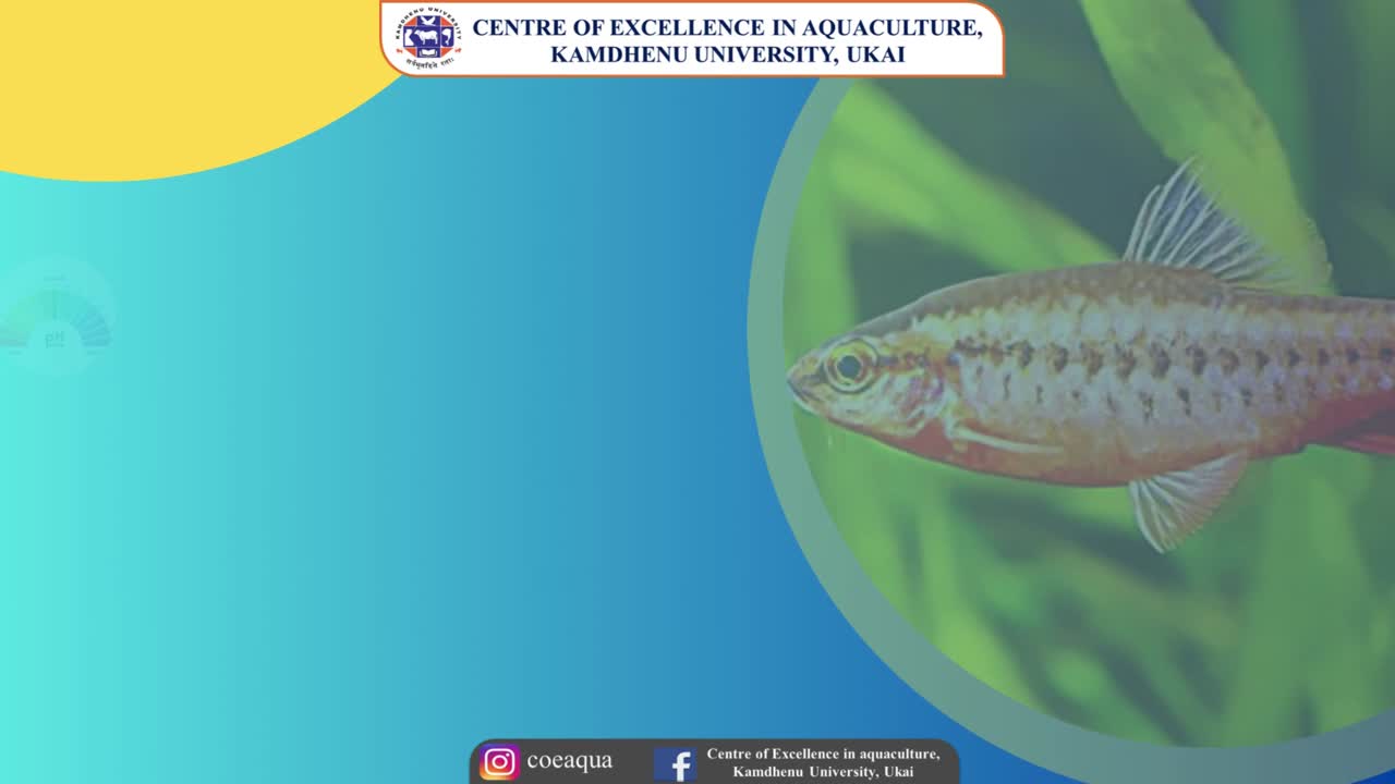 Dr. Smit Lende on LinkedIn: #commisssioneroffisheriesgujarat # ... Dr. Smit Lende on LinkedIn: #commisssioneroffisheriesgujarat # ...