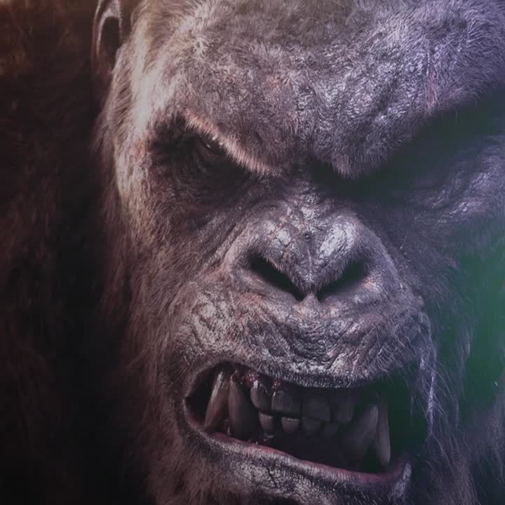 #godzillaxkong | Tanweer Alliances SA #godzillaxkong | Tanweer Alliances SA