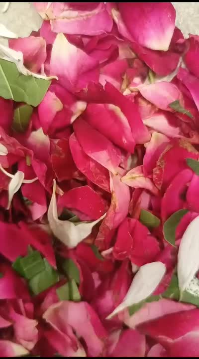 The Ramakrishna Mission symbol in flowers made by the VIVA team to ... The Ramakrishna Mission symbol in flowers made by the VIVA team to ...