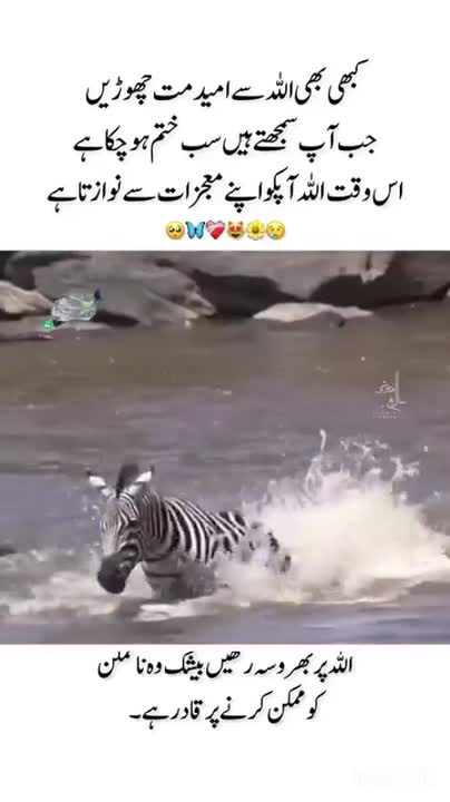 Noman Chand on LinkedIn: never Give up... one day you will get Success ... Noman Chand on LinkedIn: never Give up... one day you will get Success ...