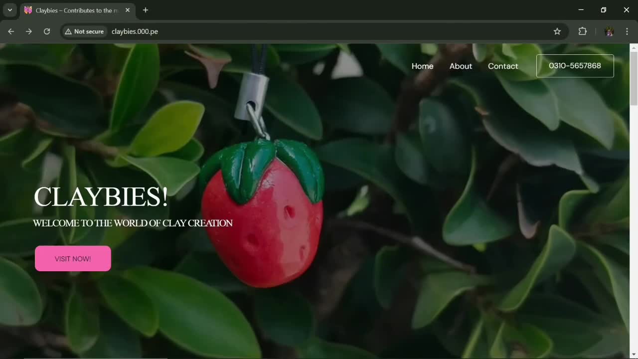 Shane Batool on LinkedIn: #webdevelopment #wordpress Shane Batool on LinkedIn: #webdevelopment #wordpress