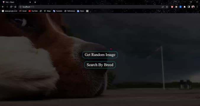 Yash Rathore on LinkedIn: #nodejs #express #cors #react #apiproject Yash Rathore on LinkedIn: #nodejs #express #cors #react #apiproject