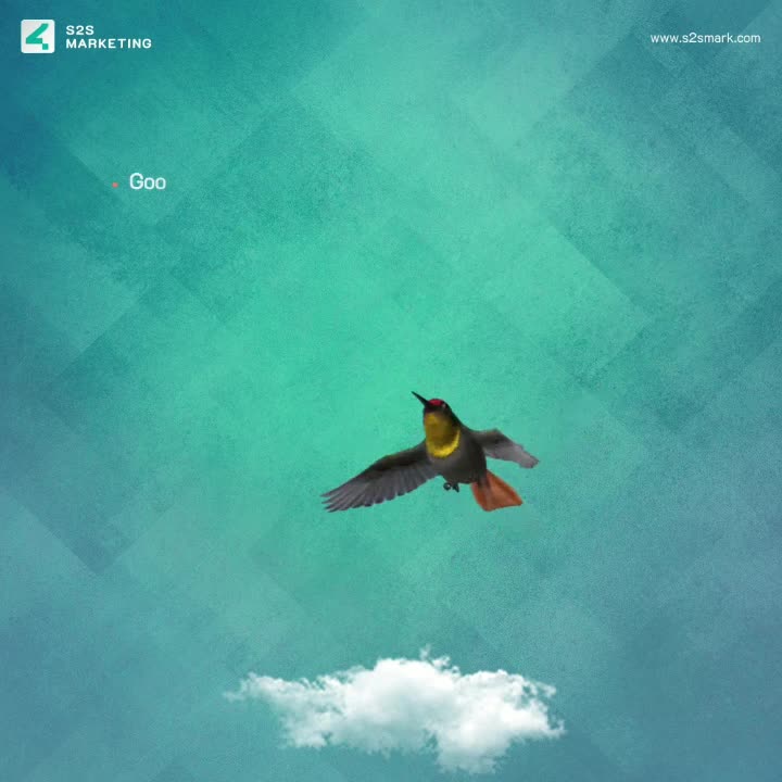 Shehryar Khan on LinkedIn: #google #hummingbird #algorithm Shehryar Khan on LinkedIn: #google #hummingbird #algorithm