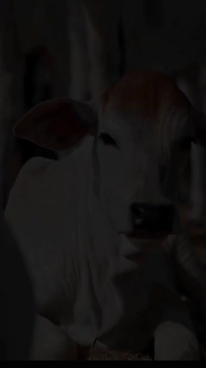 Vet Dr Nand Lal posted on LinkedIn Vet Dr Nand Lal posted on LinkedIn