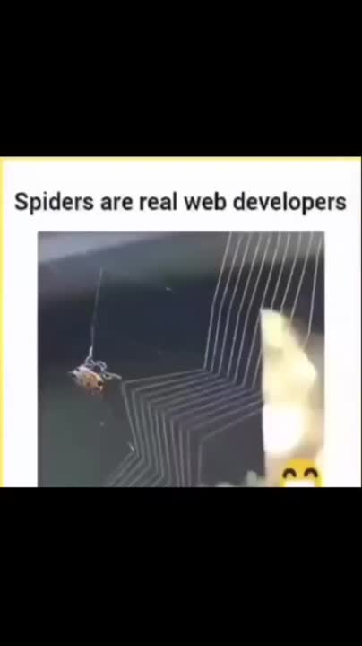 Rahul Shinde on LinkedIn: #webdevelopement #coding #programming #ai Rahul Shinde on LinkedIn: #webdevelopement #coding #programming #ai