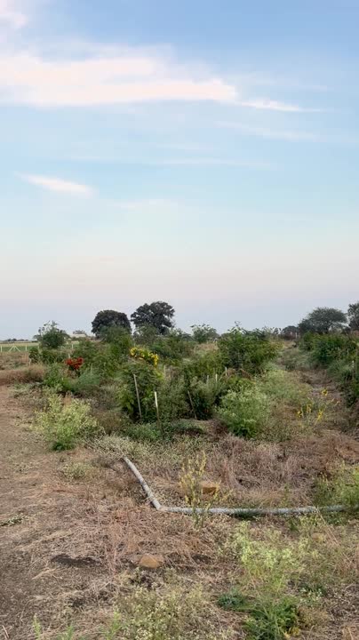 #sustainability #permaculture #mindfulness #consciousliving | Archana ... #sustainability #permaculture #mindfulness #consciousliving | Archana ...