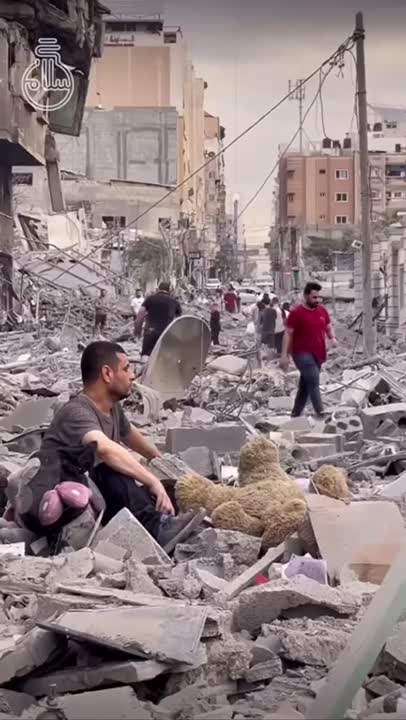 Ayman Elkhouly on LinkedIn: speak up for palestine Ayman Elkhouly on LinkedIn: speak up for palestine
