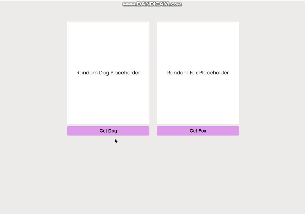 Api Random Img for Dog And Fox | Omar Afifi posted on the topic | LinkedIn Api Random Img for Dog And Fox | Omar Afifi posted on the topic | LinkedIn
