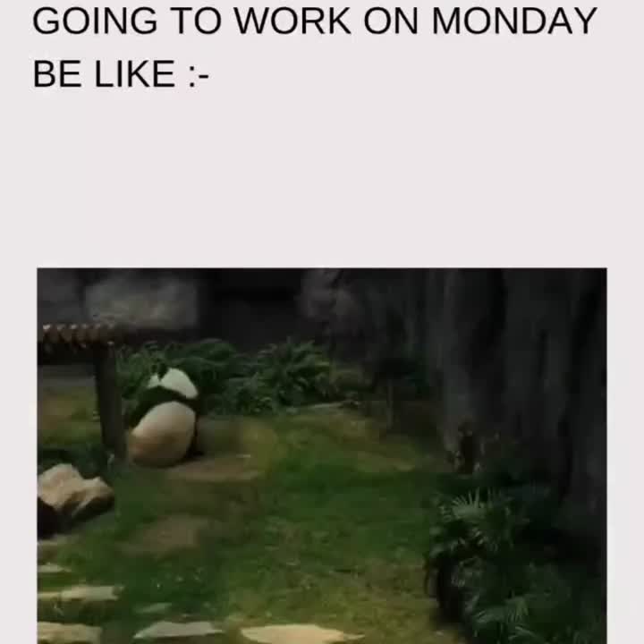 Always on Monday 🤣🤣🤣 | SHIVAM KUMAR SINGH Always on Monday 🤣🤣🤣 | SHIVAM KUMAR SINGH