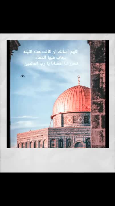 Mahmoud Ben Ayed Boubaker on LinkedIn: ️ ️ ️ ️ ️ ️ 🇵🇸 🇵🇸 🇵🇸 Mahmoud Ben Ayed Boubaker on LinkedIn: ️ ️ ️ ️ ️ ️ 🇵🇸 🇵🇸 🇵🇸