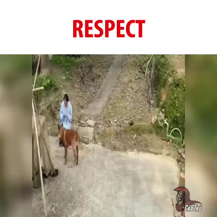 Muhammad Fiaz on LinkedIn: #animals #heightened #senses #detect # ... Muhammad Fiaz on LinkedIn: #animals #heightened #senses #detect # ...