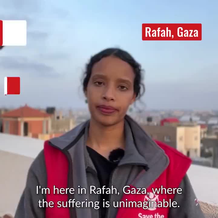 Mohamed El-Shazly on LinkedIn: #gaza Mohamed El-Shazly on LinkedIn: #gaza