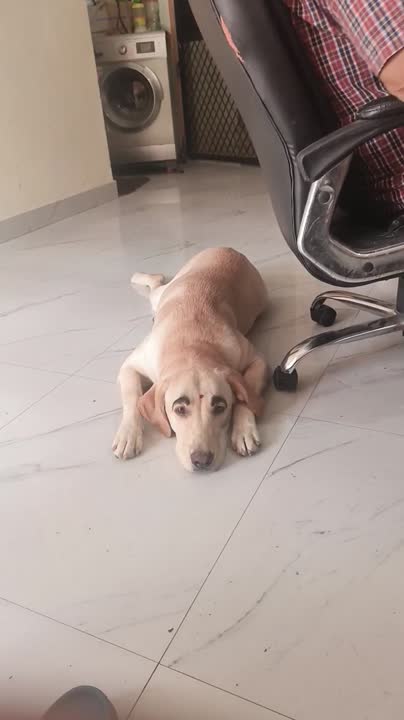 Aashish Dwivedi on LinkedIn: extra creativity 🤣 Aashish Dwivedi on LinkedIn: extra creativity 🤣