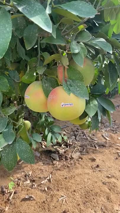 ahmed abdelrazik posted on LinkedIn ahmed abdelrazik posted on LinkedIn