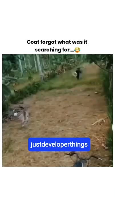 Gaurang Patel 🦅 on LinkedIn: #php #debugging #vscode #webdevelopment # ... Gaurang Patel 🦅 on LinkedIn: #php #debugging #vscode #webdevelopment # ...