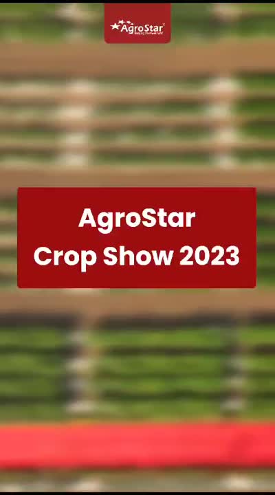 Abhishek Kumar Pandey on LinkedIn: AgroStar Abhishek Kumar Pandey on LinkedIn: AgroStar