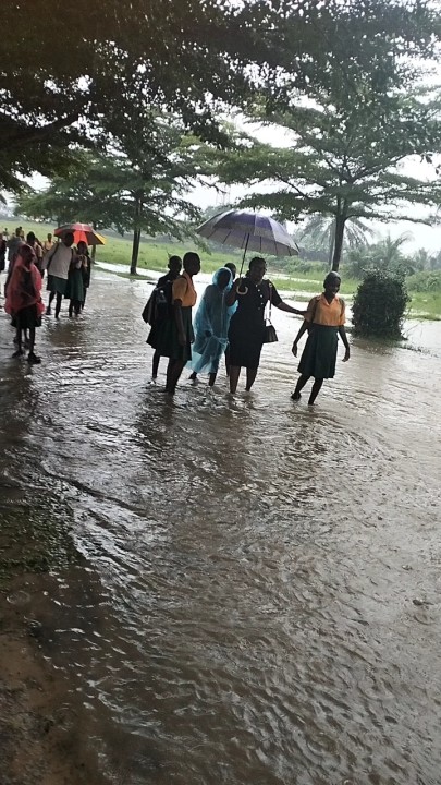 Udeme inyang(she/her) on LinkedIn: under the sun or in the rain, we learn. Udeme inyang(she/her) on LinkedIn: under the sun or in the rain, we learn.