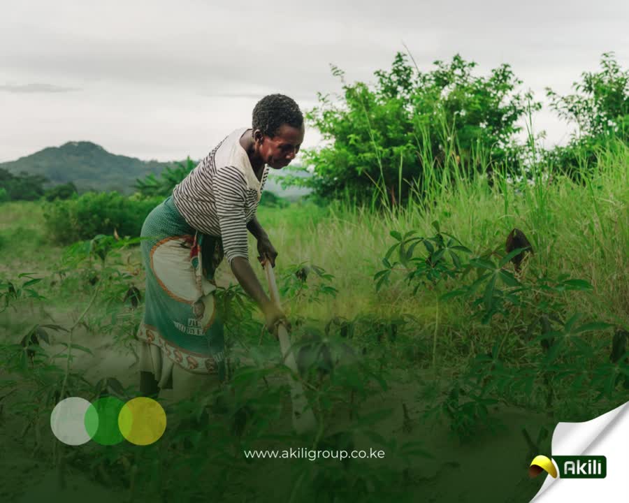 Akili Group on LinkedIn: #akiligroup #akilibiochar #sustainablefarming ... Akili Group on LinkedIn: #akiligroup #akilibiochar #sustainablefarming ...