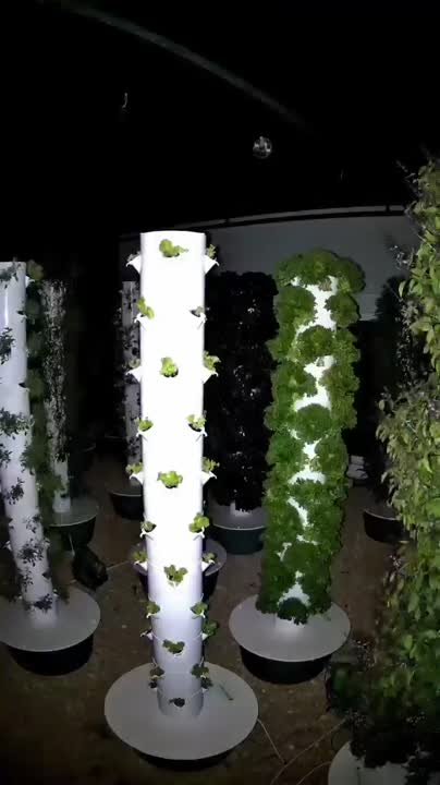 Estiak Jaman on LinkedIn: Vertical farming is reshaping urban ... Estiak Jaman on LinkedIn: Vertical farming is reshaping urban ...