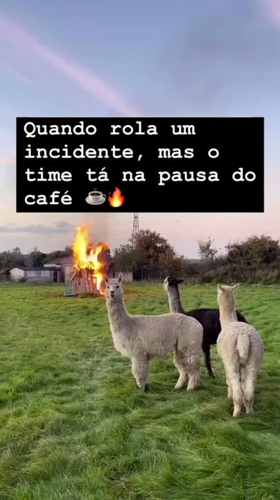 Mikael Melo on LinkedIn: #techhumor #programmingmemes #codelife # ... Mikael Melo on LinkedIn: #techhumor #programmingmemes #codelife # ...