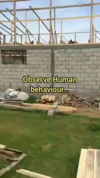 Selvambi V. on LinkedIn: Observe Human Behaviour & Correct It... https ... Selvambi V. on LinkedIn: Observe Human Behaviour & Correct It... https ...