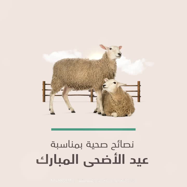 Amir Soliman posted on LinkedIn Amir Soliman posted on LinkedIn