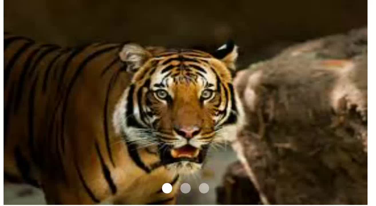 Gyana Ranjan Sahoo on LinkedIn: #webdevelopment #html #css #javascript ... Gyana Ranjan Sahoo on LinkedIn: #webdevelopment #html #css #javascript ...