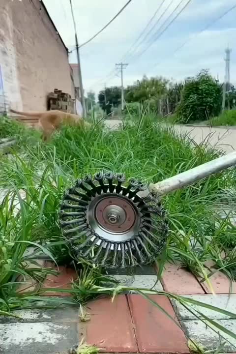 #lawngoals #weedremoval #lawnrevolution #weedassassin | Neha Rani | 95 ... #lawngoals #weedremoval #lawnrevolution #weedassassin | Neha Rani | 95 ...
