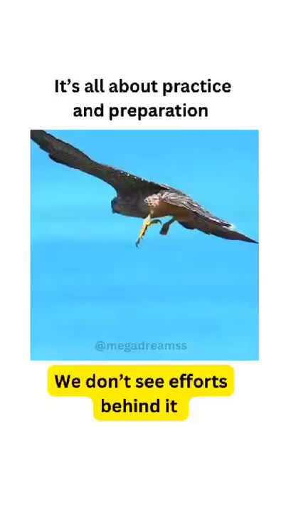 Sakina Shafiullah on LinkedIn: Practice makes Man better ... Sakina Shafiullah on LinkedIn: Practice makes Man better ...
