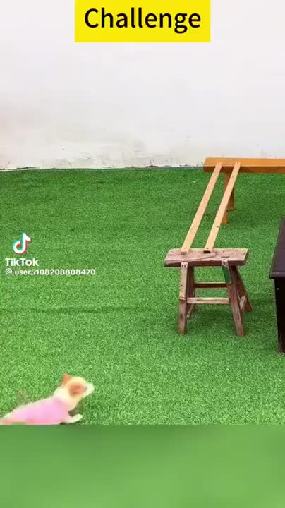 Aashish Kumar on LinkedIn: This video has deep meanings, with different ... Aashish Kumar on LinkedIn: This video has deep meanings, with different ...