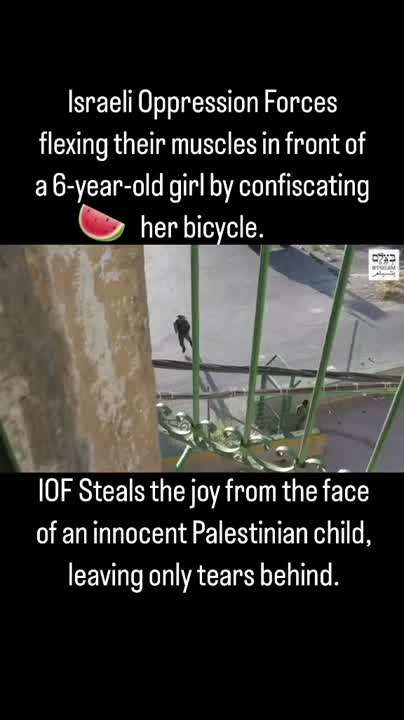 Shehab Ahmed on LinkedIn: #palaestine #zionists Shehab Ahmed on LinkedIn: #palaestine #zionists