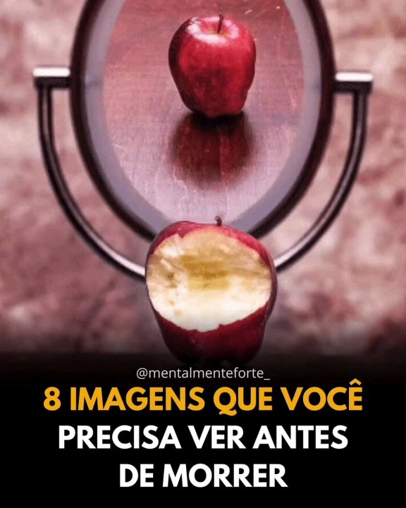 Marcos Vinicius Barbosa Santos posted on LinkedIn Marcos Vinicius Barbosa Santos posted on LinkedIn