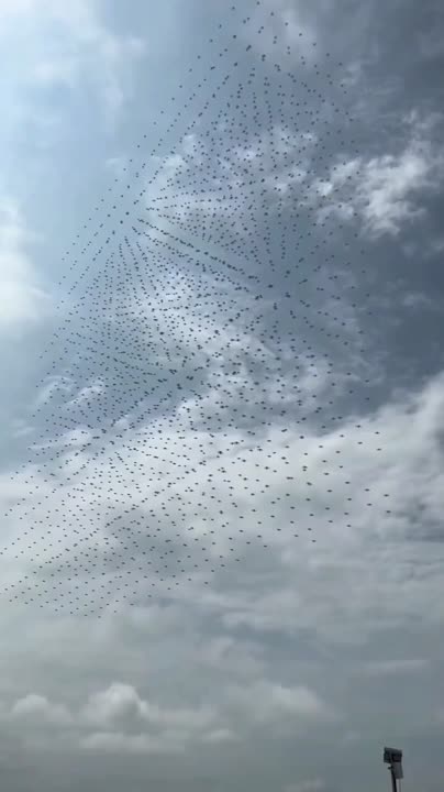 Hammad Farooq on LinkedIn: #pso #machinelearning #ai #optimization # ... Hammad Farooq on LinkedIn: #pso #machinelearning #ai #optimization # ...