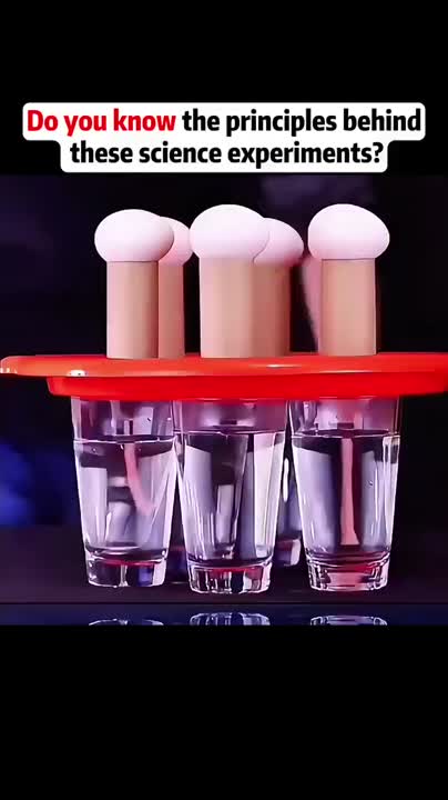 Vikram Anjan on LinkedIn: #physics #scienceexperiments #stem # ... Vikram Anjan on LinkedIn: #physics #scienceexperiments #stem # ...