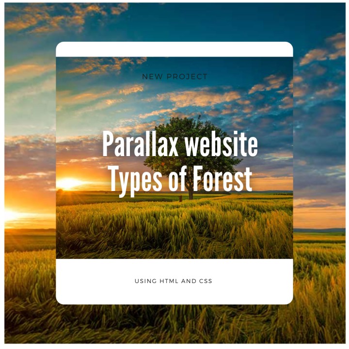 Rimjhim Rathore on LinkedIn: #html #css #firstpost #frontend #learning ... Rimjhim Rathore on LinkedIn: #html #css #firstpost #frontend #learning ...