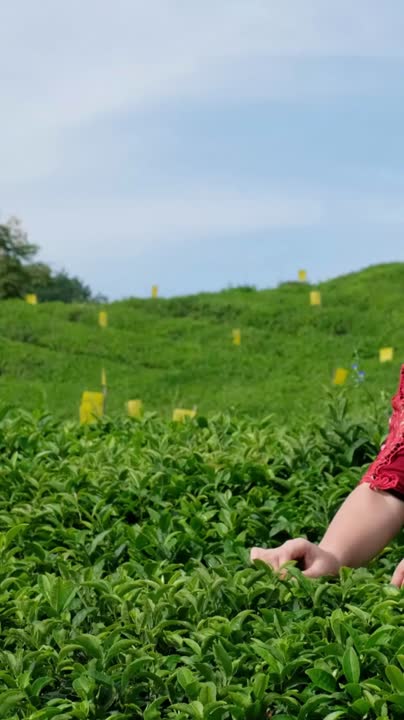 How to start your own tea business | Rishit Patel posted on the topic ... How to start your own tea business | Rishit Patel posted on the topic ...