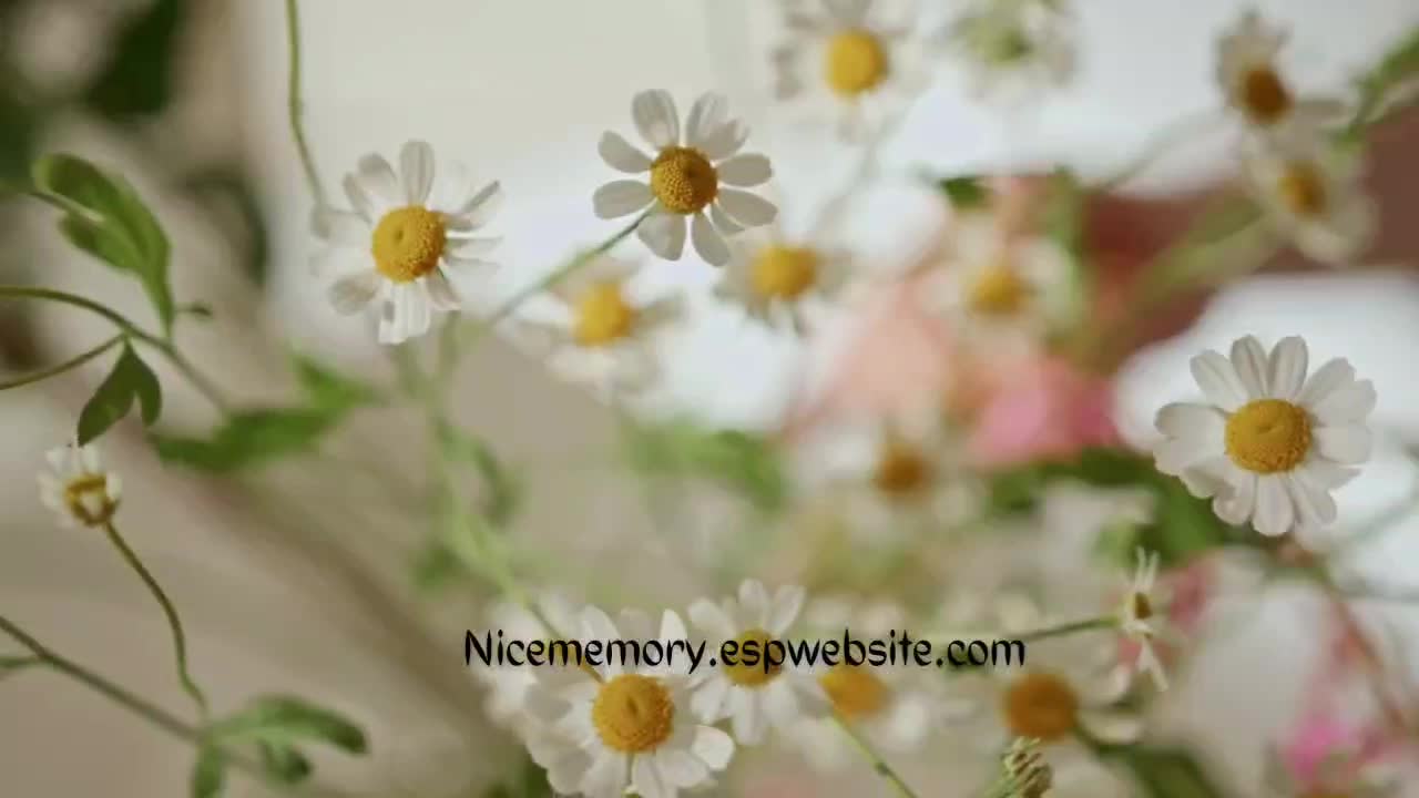 Tasneem AL-Ghzawi posted on LinkedIn Tasneem AL-Ghzawi posted on LinkedIn