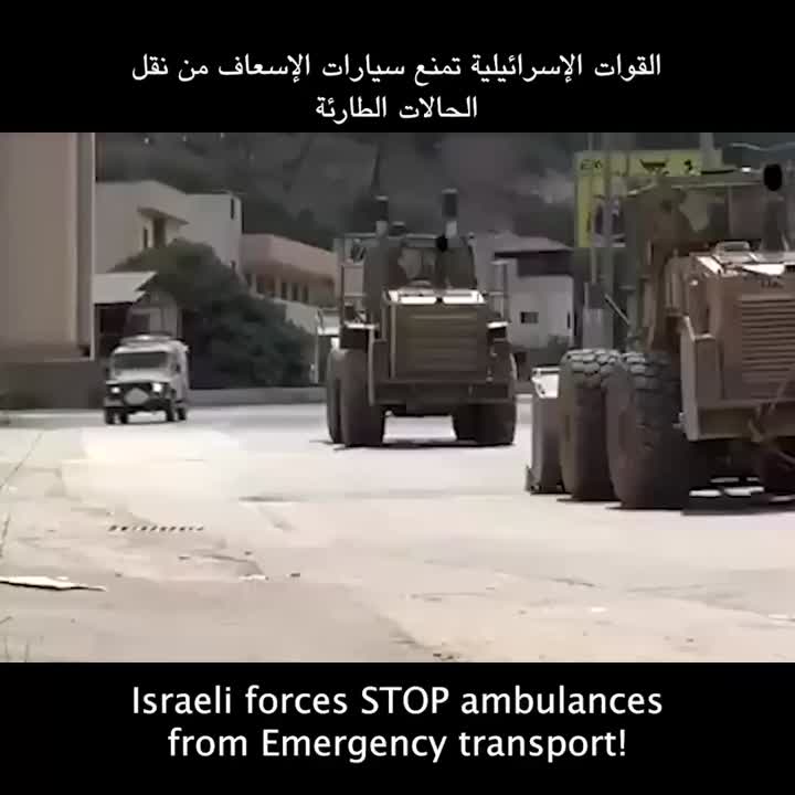 BANU ARAZ ALKAN on LinkedIn: I stand with Palestine. I pray for a free ... BANU ARAZ ALKAN on LinkedIn: I stand with Palestine. I pray for a free ...